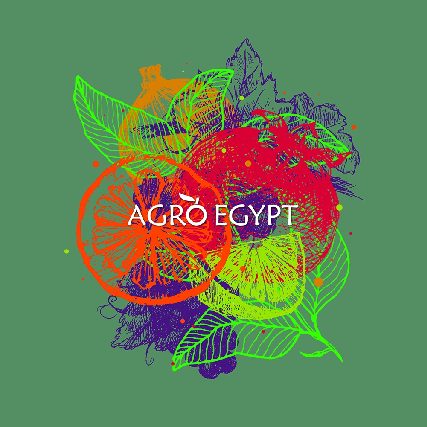 AGROEGYPT - Agro Egypt for agricultural products (Ghallab) Citrus ...