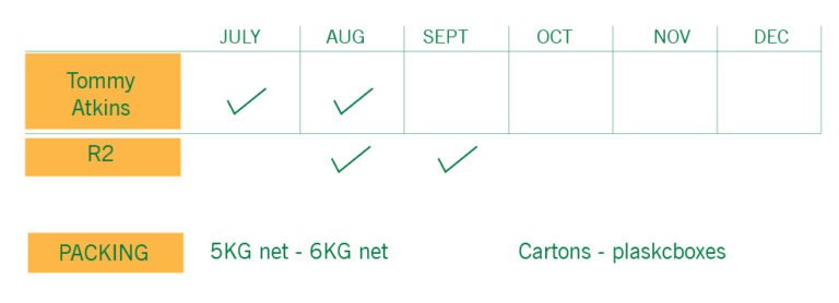 Tommy Atkins - Agro Egypt for agricultural products (Ghallab) Citrus ...