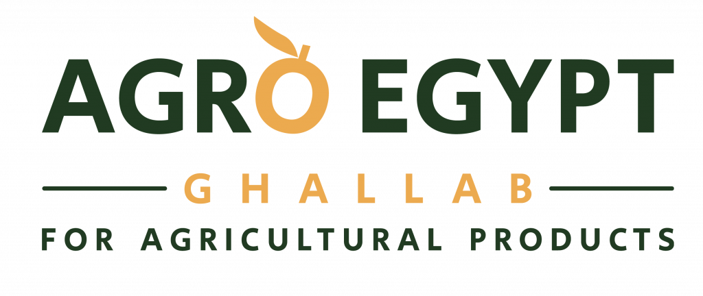 Agro-Logo - Agro Egypt for agricultural products (Ghallab) Citrus Export Company in Egypt ...
