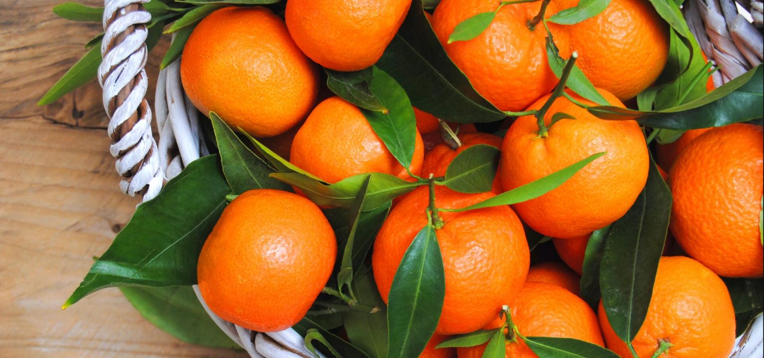 Agro Egypt for agricultural products (Ghallab) - Citrus Export Company ...